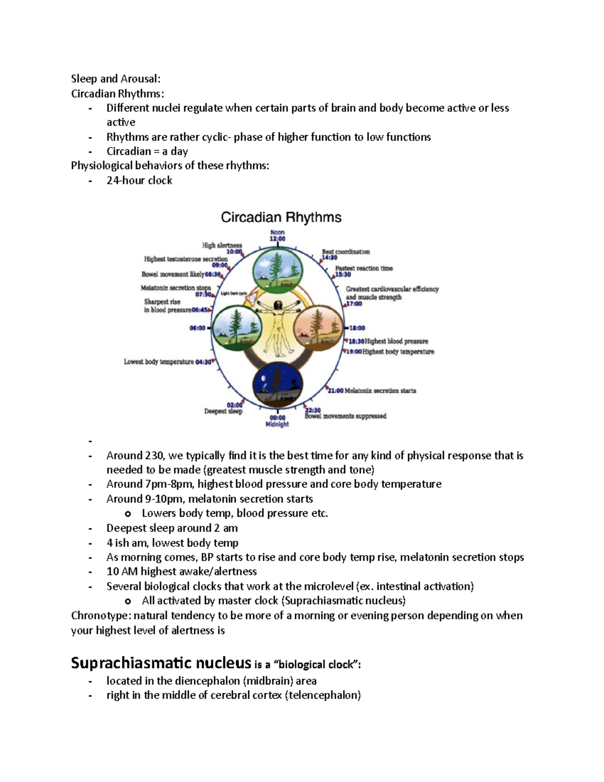 Biopsych unit 2 - Detailed and important notes on the sleep and wake ...
