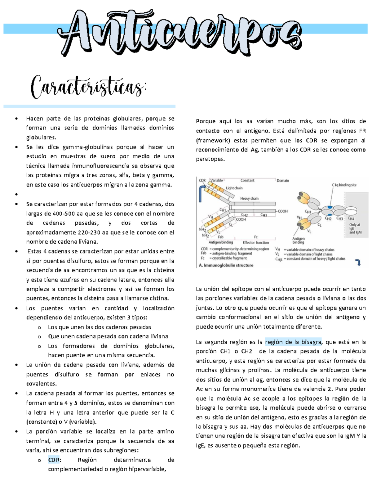 Anticuerpos - Warning: TT: undefined function: 32 Warning: TT: undefined function: 32 Hacen ...