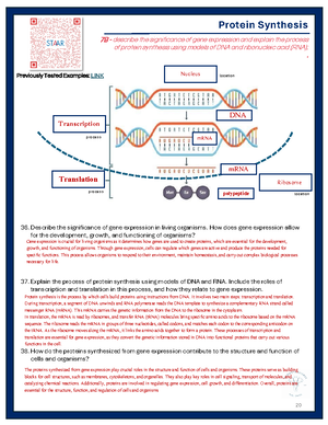Kami Export - Biomolecules Cell Transport Review KEY - The Chemistry of ...