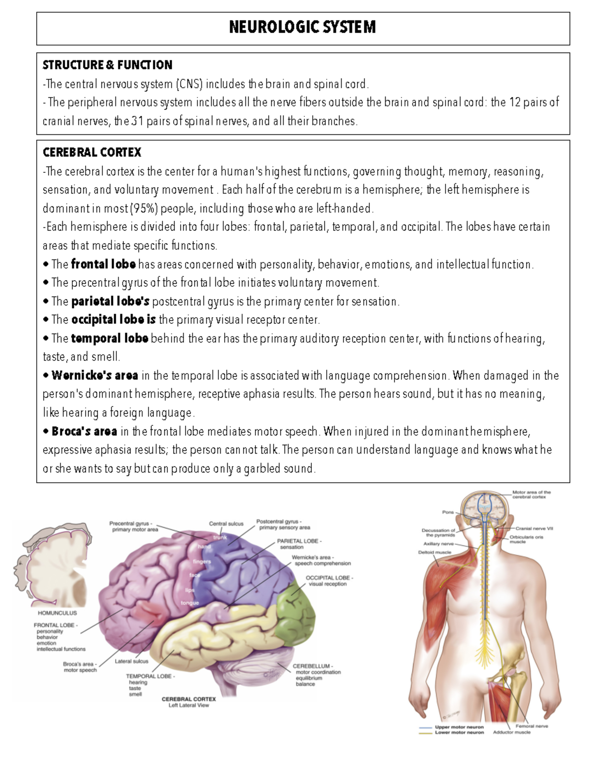 PA module 7 neurologic - NEUROLOGIC SYSTEM STRUCTURE & FUNCTION -The central nervous system ...