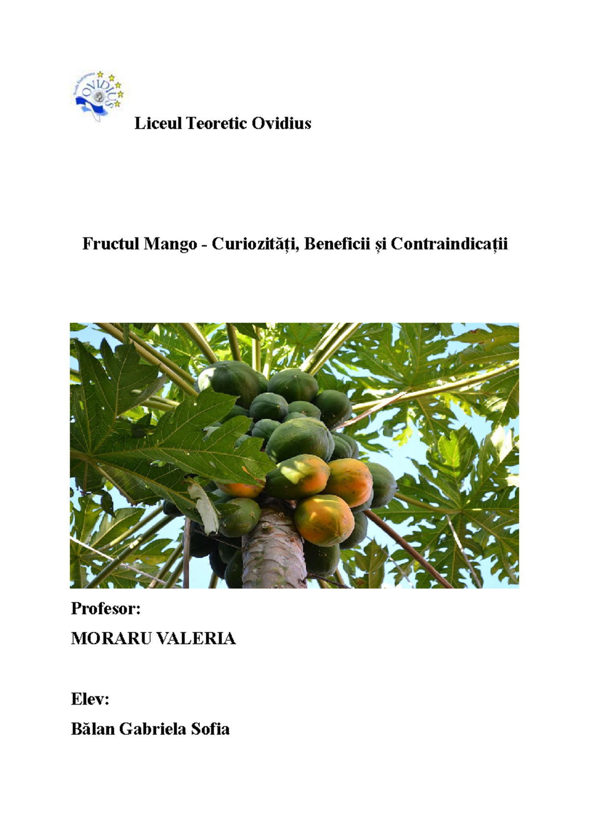 Mango - fructe - Liceul Teoretic Ovidius Fructul Mango - Curiozități ...