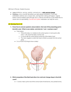 Module 1 Note Taking Guide-1 - Unit 1: Conception & Fetal Development ...