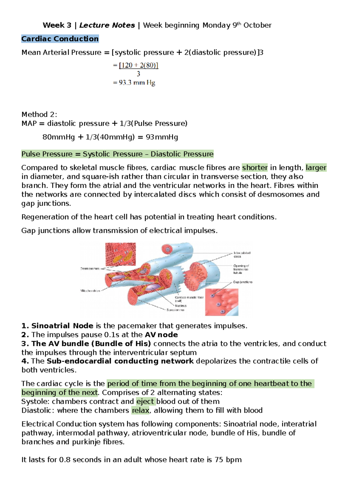 Cardiac Conduction - Week 3 | Lecture Notes | Week beginning Monday 9th ...
