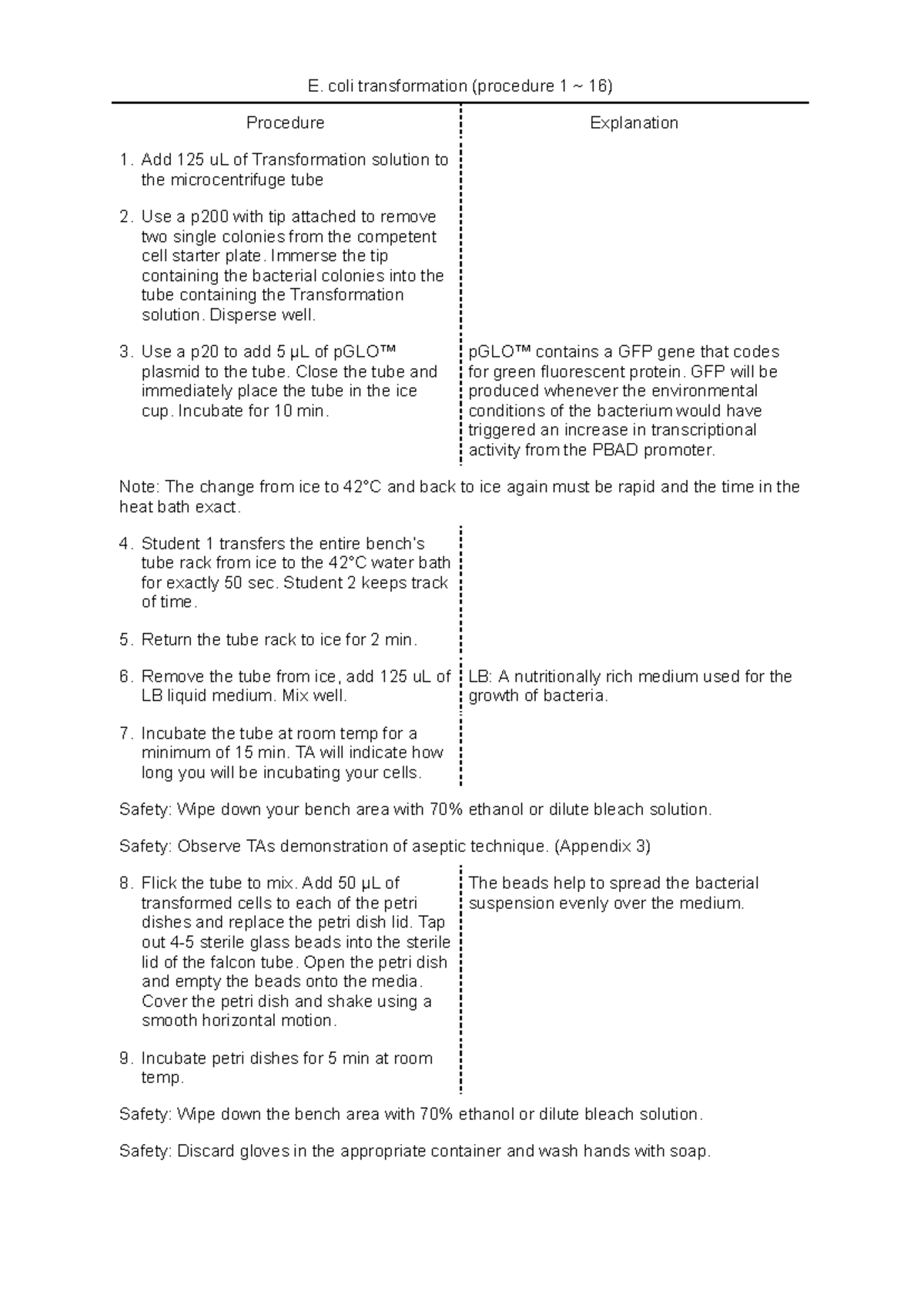 Lab 1 - flow chart - Gene regulation Part I - E. coli transformation ...