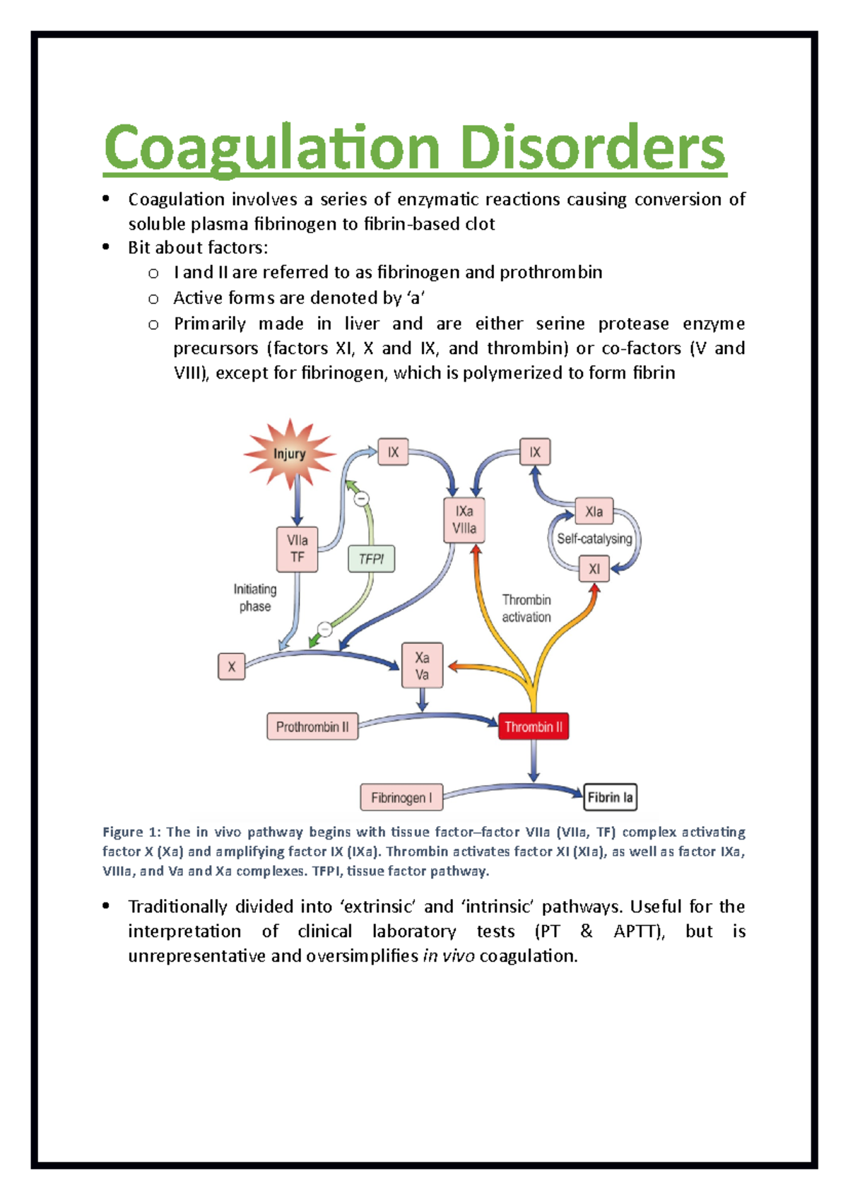 Coagulation Disorders - Thrombin activates factor XI (XIa), as well as ...