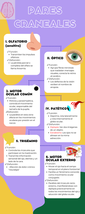Yellow Information About Senses Infographic - HABLEMOS DE UNA ...