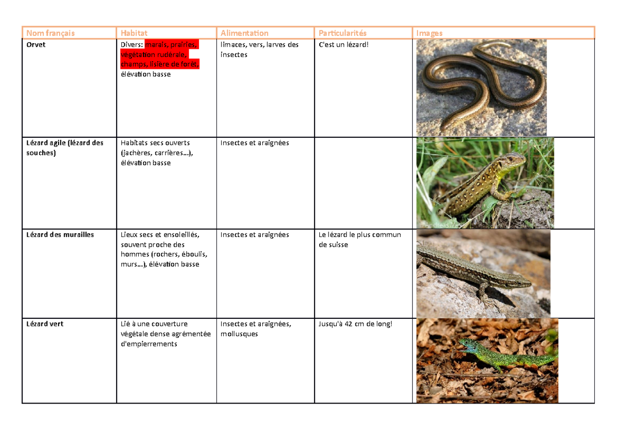 ZOO reptiles - Cartes pour apprendre pour l'examen - Nom Habitat ...