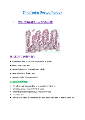 Esophagus Tumor Pathology - ESOPHAGUS TUMOR PATHOLOGY Decreasing ...