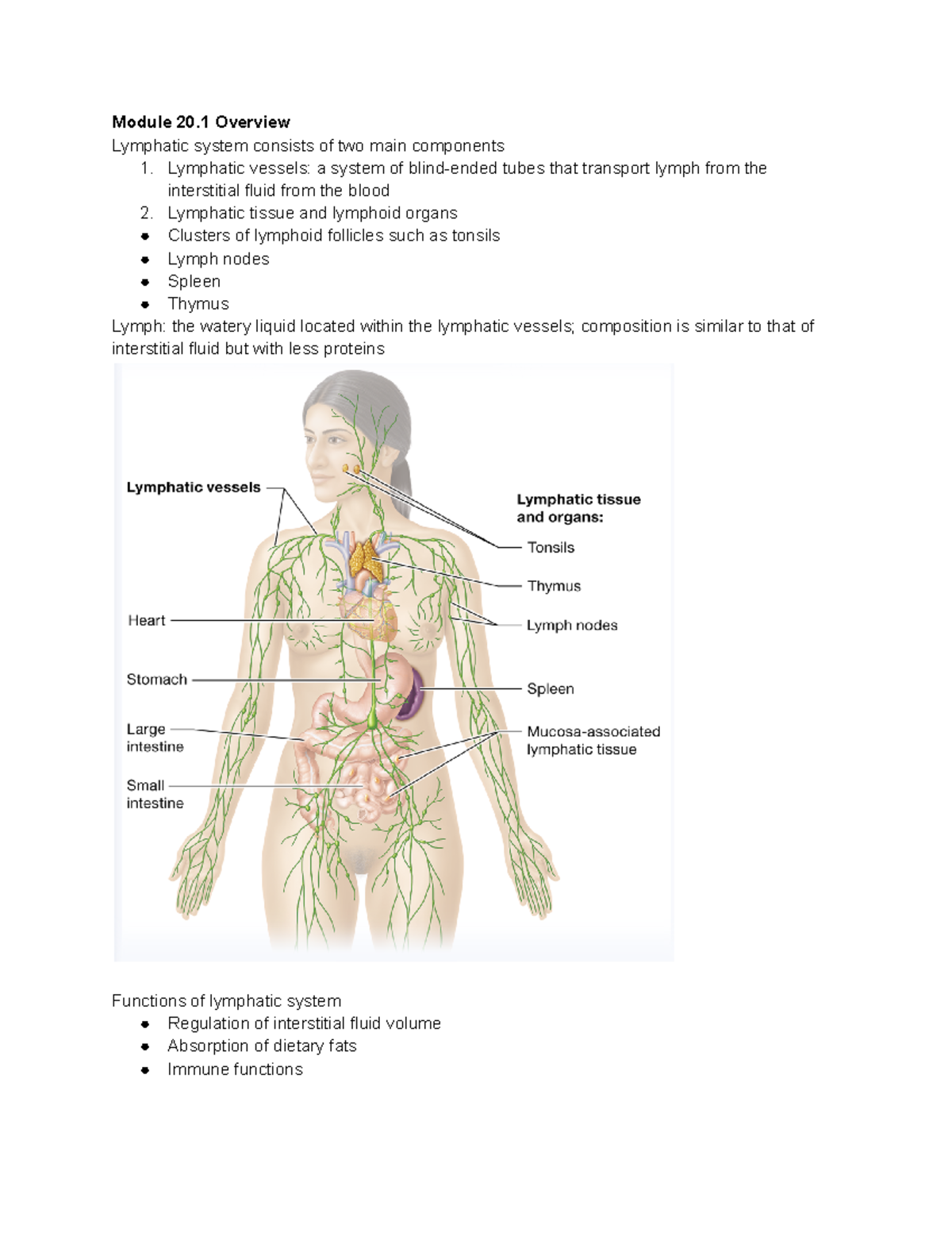 Chapter 20 The Lymphatic System and Immunity - Module 20 Overview ...