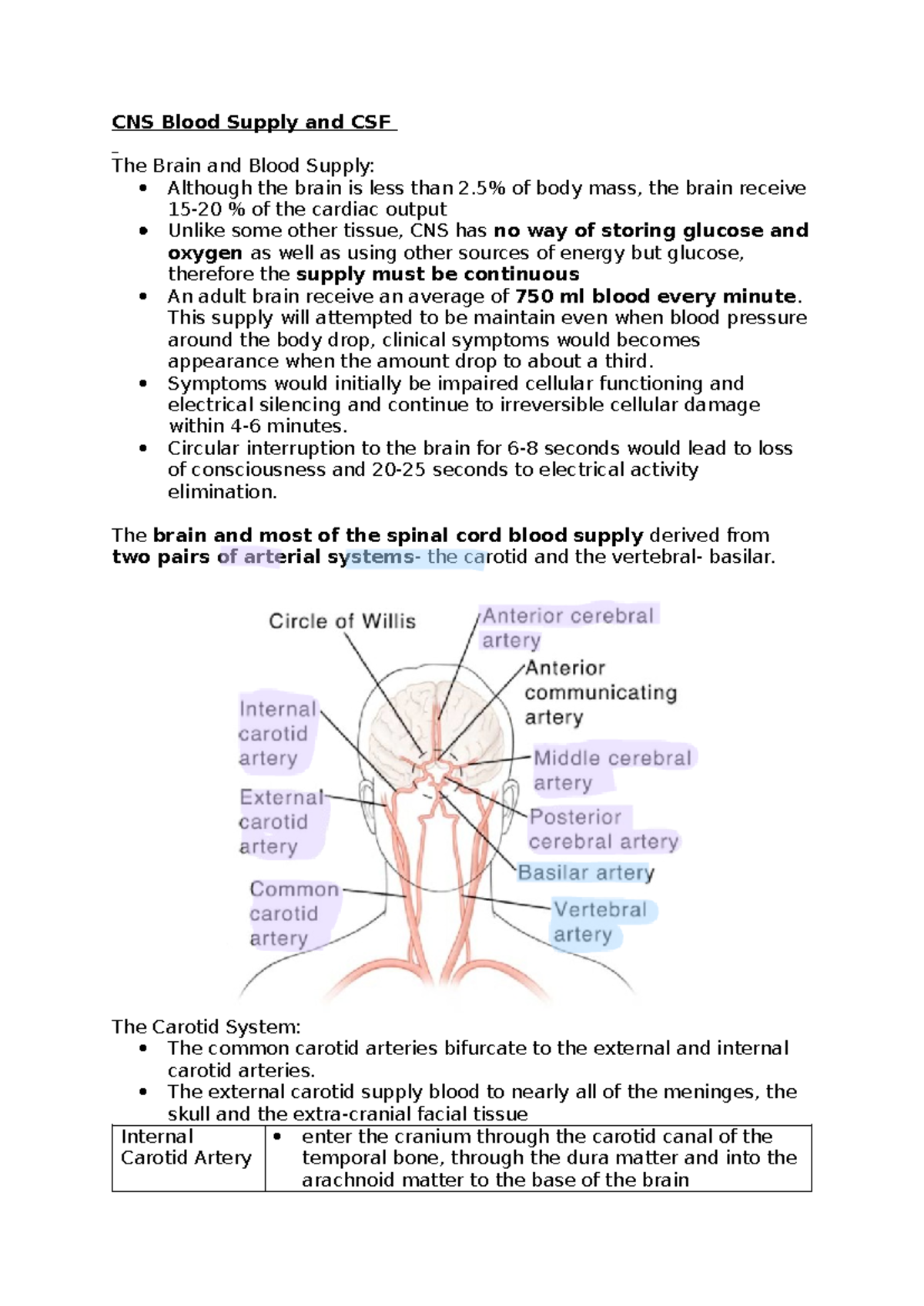 CNS Blood Supply and CSF Notes - CNS Blood Supply and CSF The Brain and ...