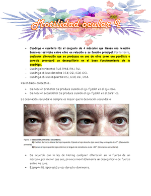 Patologías vía visual - QUIASMA OPTICO ¿Cuadrantópsia o Cuadrantanopsia ...