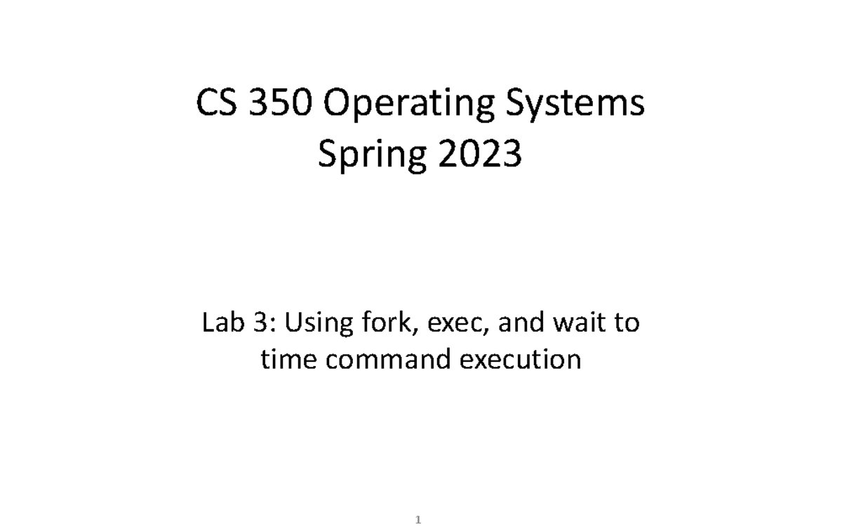 Lab 3 Timing Exec Lab Where We Utilize Fork Wait And Exec To Complete A Program Cs
