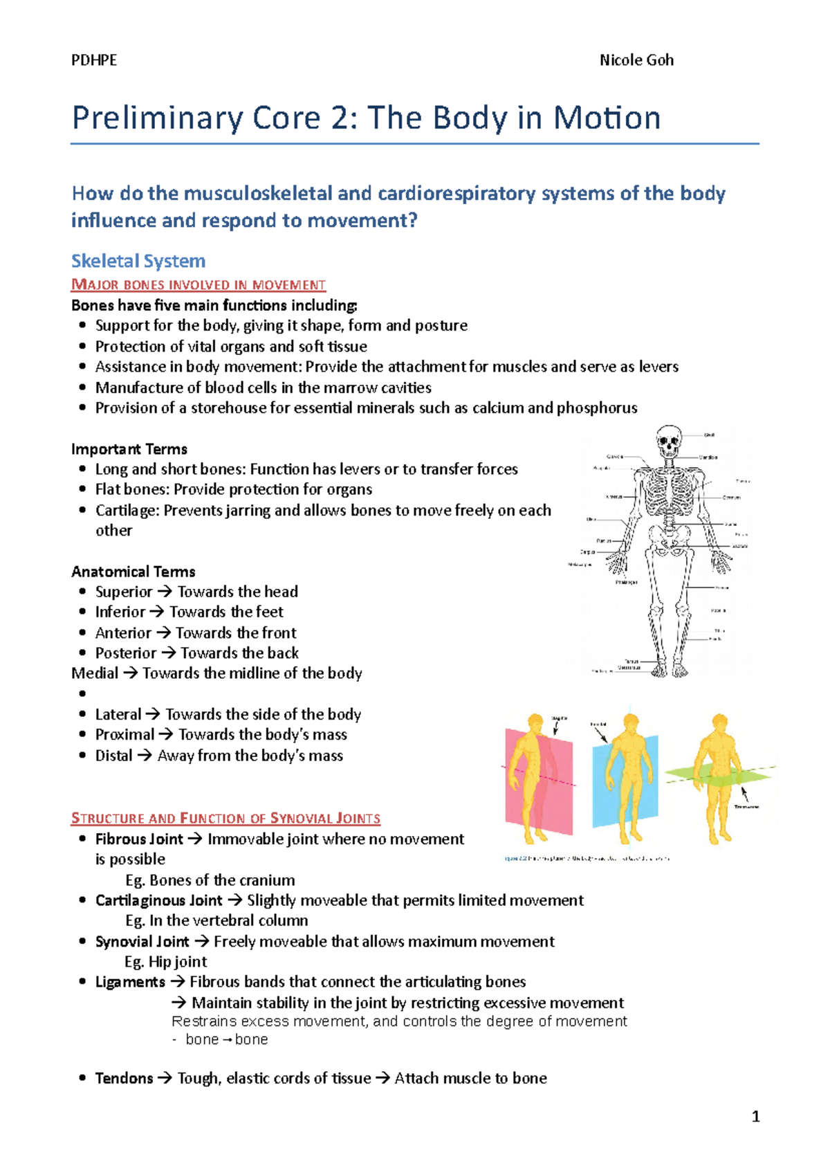 06Yo core 2 the body in motion - Preliminary Core 2: The Body in Motion ...