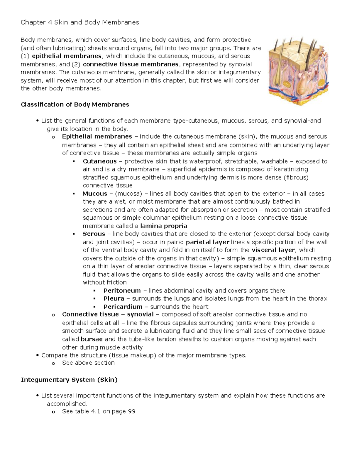 Chapter 4 Skin and Body Membranes - Chapter 4 Skin and Body Membranes ...