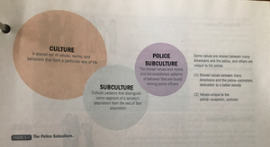 Police process ch. 6 diagrams - CRJ 203 - Studocu