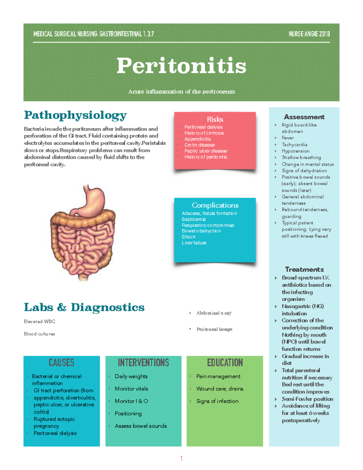 Peritonitis - Lecture notes Lecture notes - Pathophysiology Bacteria ...