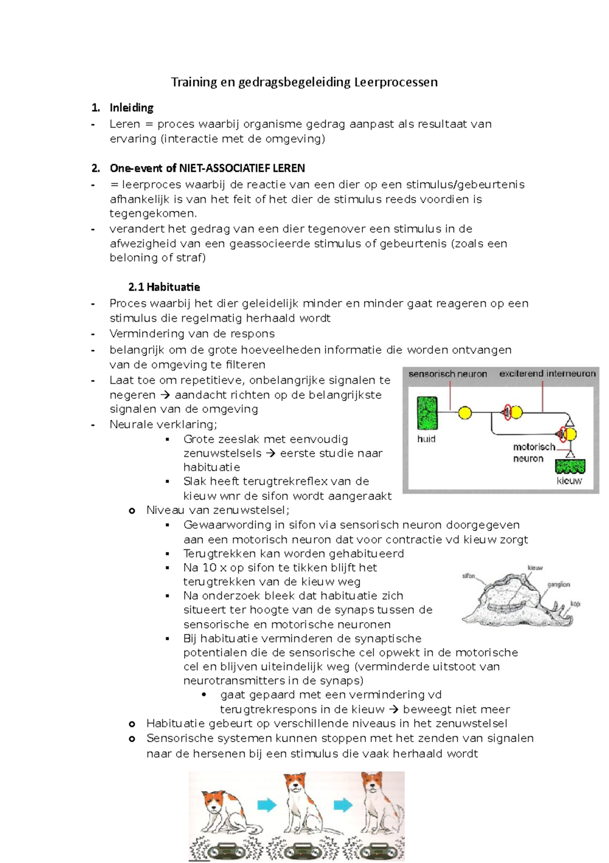 Training en gedragsbegeleiding Leerprocessen - Inleiding - Leren ...