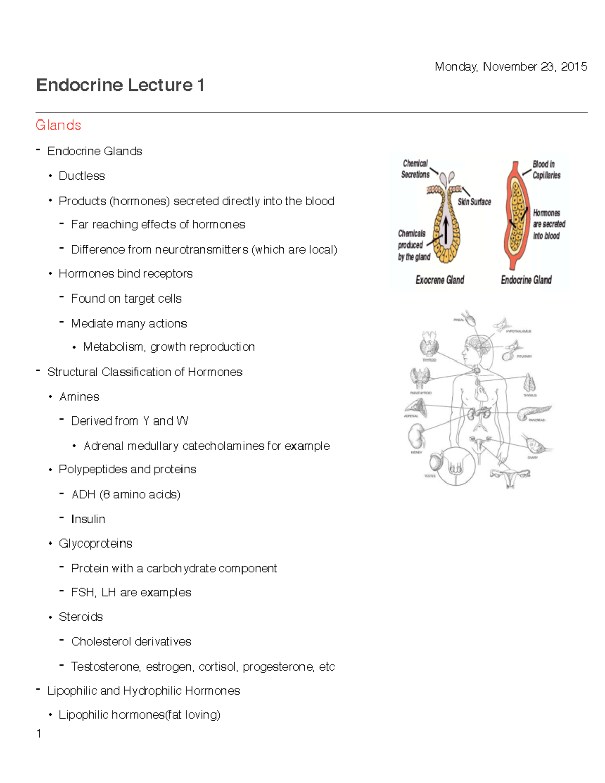 Endocrine Lecture 1 pdf - Endocrine Lecture 1 Glands - Endocrine Glands ...