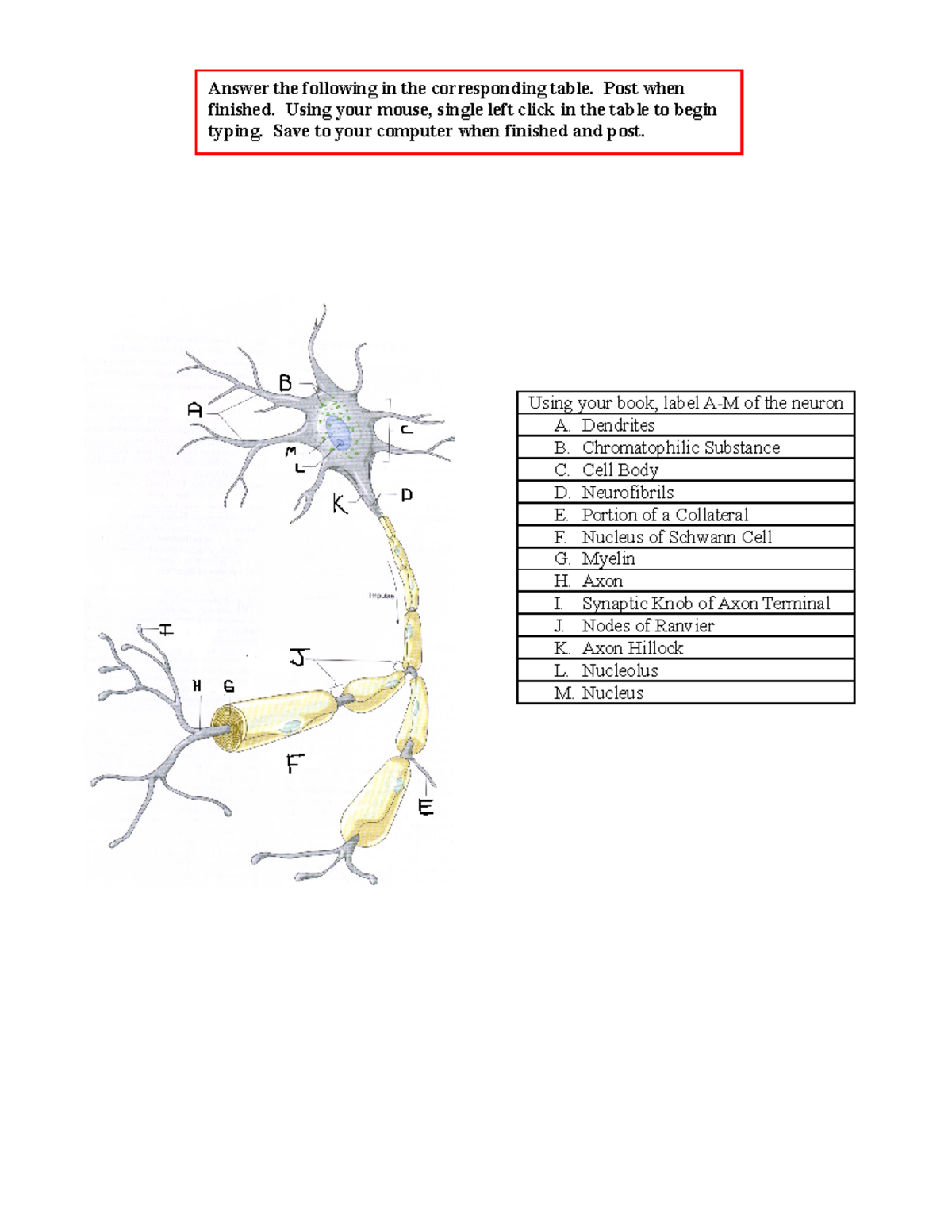 Neuron - somatic special senses - Using your book, label A-M of the ...
