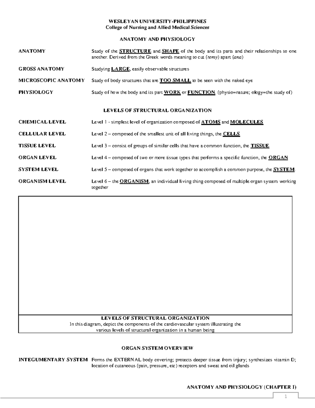 Ap Chap1 Handouts Lecture Notes 1 Warning Tt Undefined Function 32 College Of Nursing And