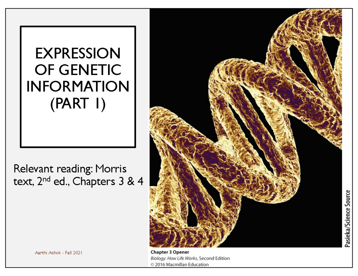 Lec 3- Module 3 - Lecture - EXPRESSION OF GENETIC INFORMATION (PART 1 ...