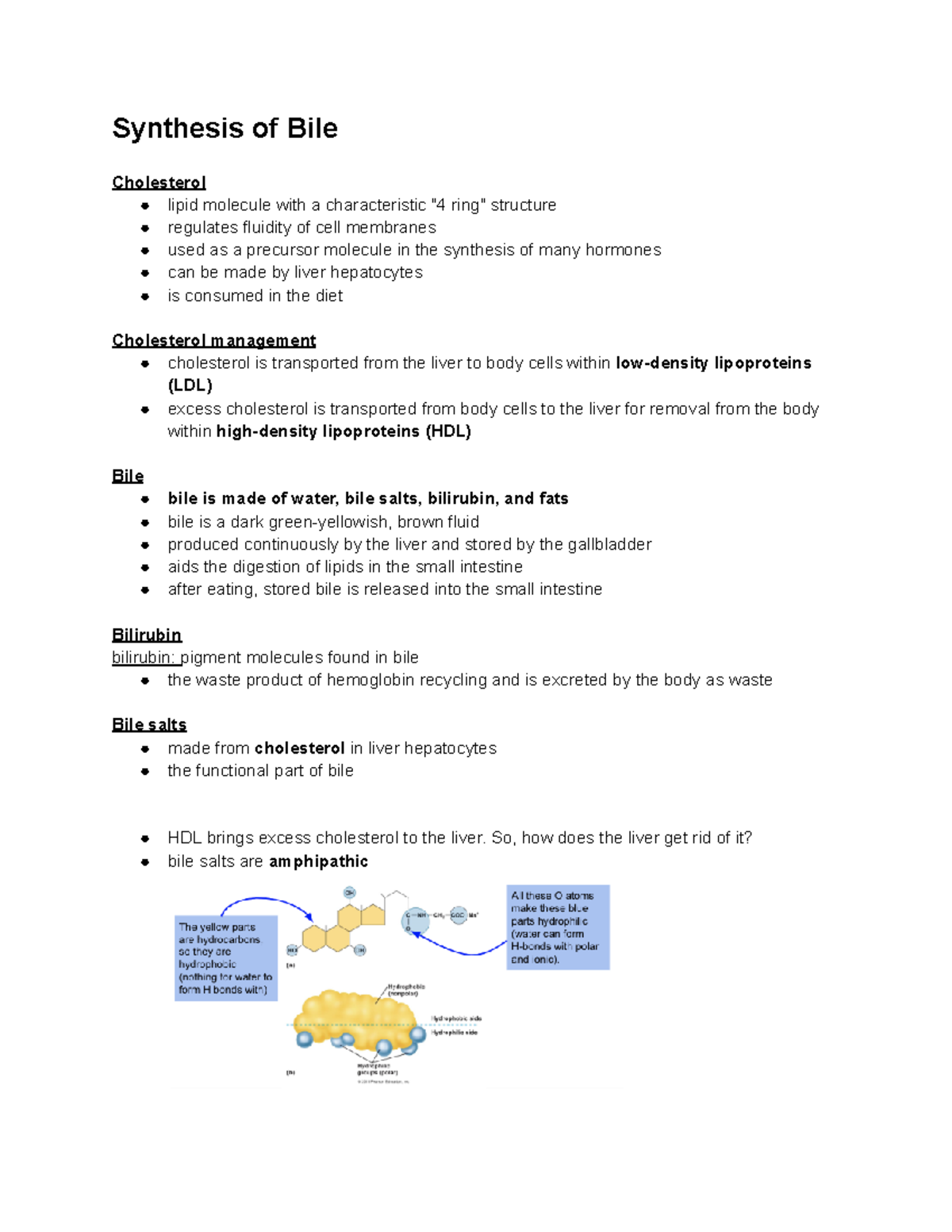 Synthesis of Bile - Notes regarding: -Cholesterol -Cholesterol ...