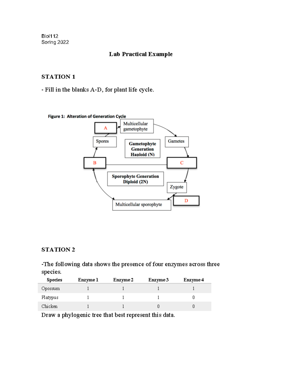 Practical-Example-Sp22 - Biol Soring 2022 Lab Practical Example STATION ...