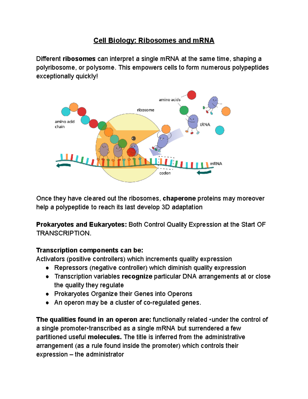 Cell Biology Ribosomes and m RNA - Cell Biology: Ribosomes and mRNA ...