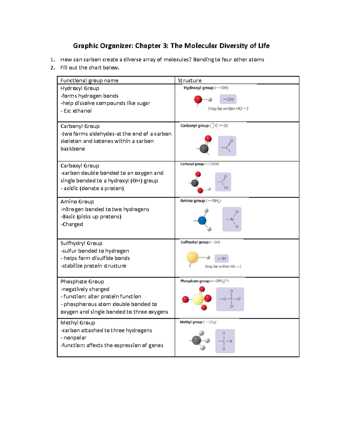 Graphic Organizer Chapter #3 - Functional group name Structure Hydroxyl Group -forms hydrogen ...