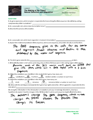 Evolutionary biology study guide on evolution theories - What is ...
