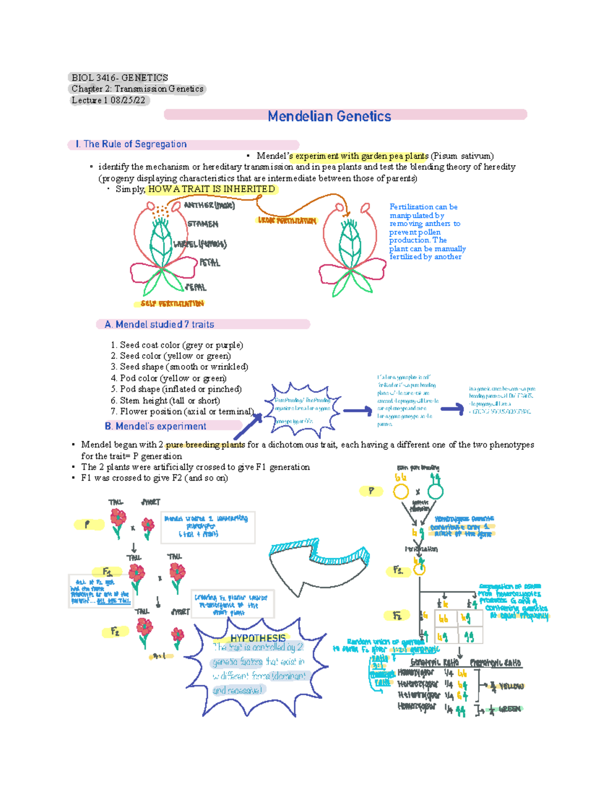 3416 Lecture 1- 08:25 - BIOL 3416- GENETICS Chapter 2: Transmission Genetics Lecture 1 08/25 ...
