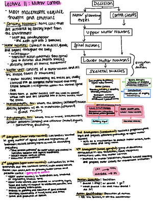Levels of Motor Control - Motor control: Open and closed loop theory ...
