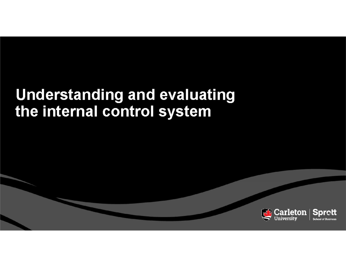 9-2 Understanding and evaluating the internal control system ...