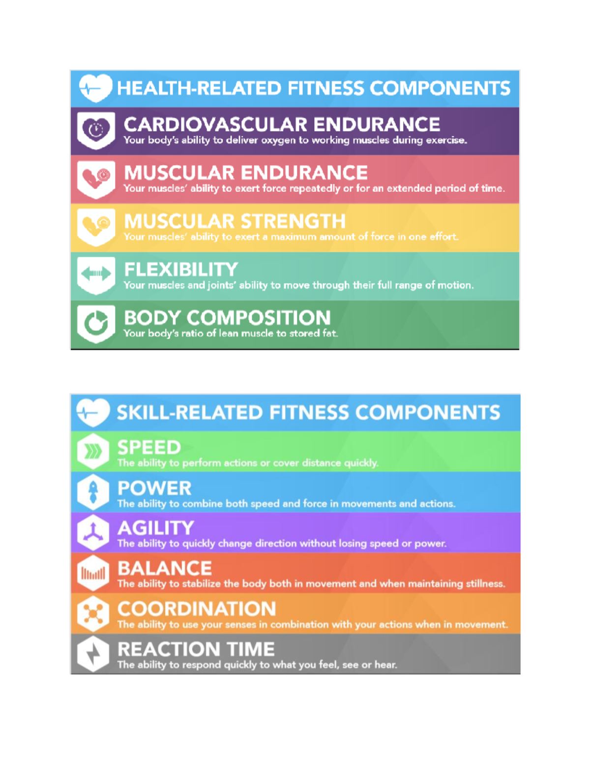 Health and Skill Related Fitness Components Project - FITNESS ...