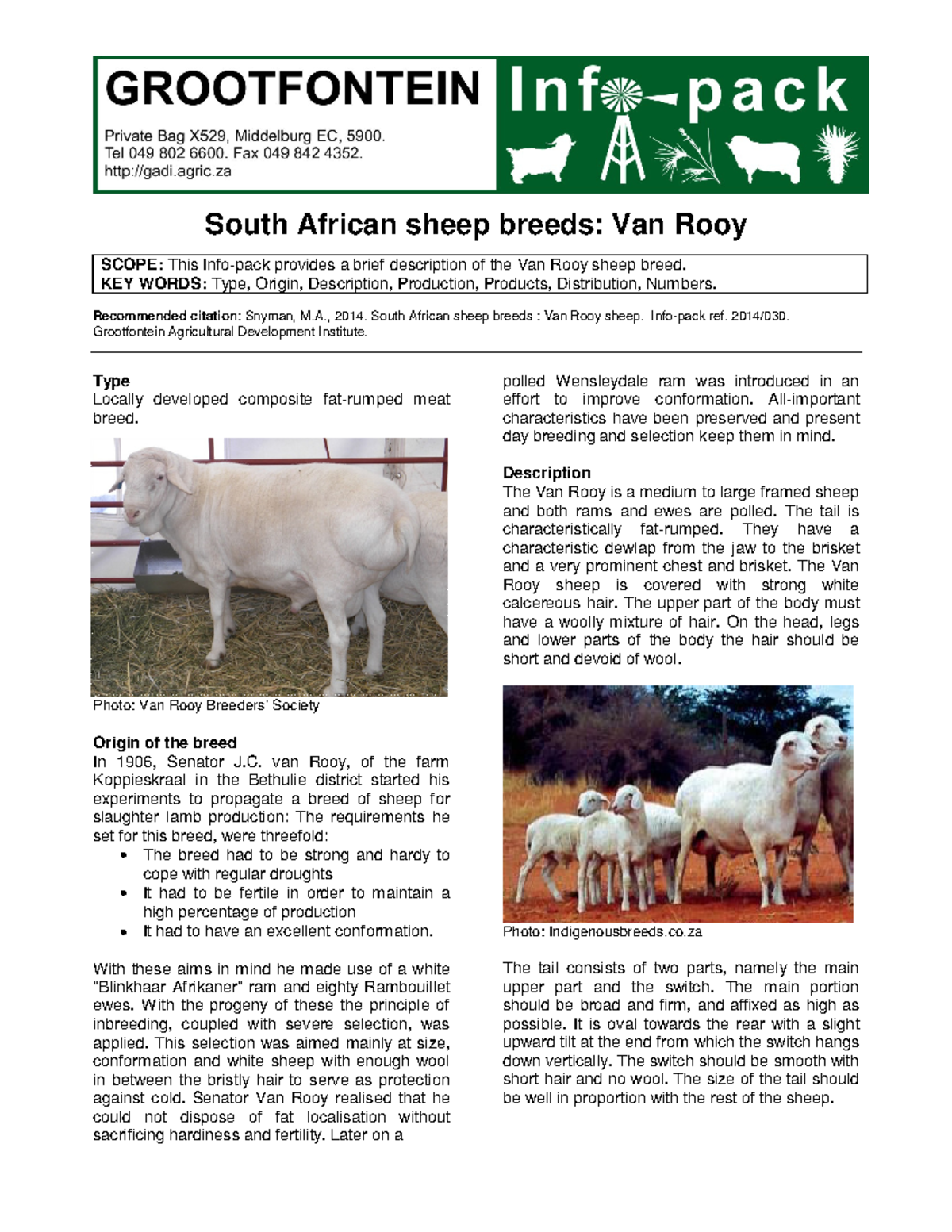 2014 030 South African Sheep breeds - Van Rooy - Copy - South African ...