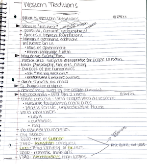 [Solved] Which of the following statements best describes the optimal ...