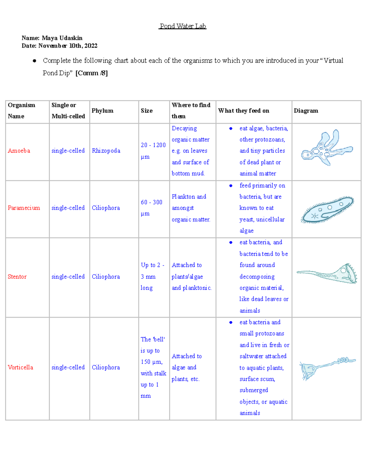 SBI3U Unit 1 - Pond Water Lab - Pond Water Lab Name: Maya Udaskin Date ...