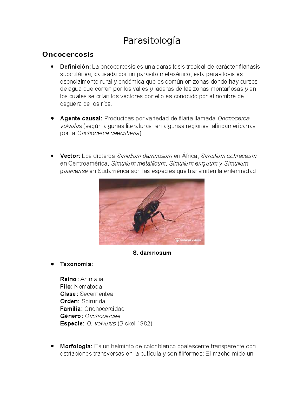 Oncocercosis - Filariasis - Parasitología Oncocercosis Definición: La ...