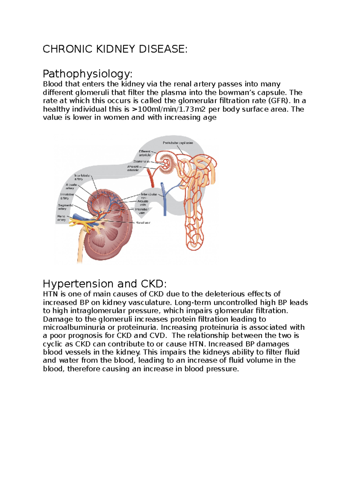 Chronic Kidney Disease - CHRONIC KIDNEY DISEASE: Pathophysiology: Blood ...