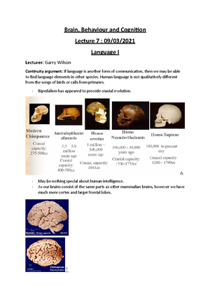 Motor control - Motor control Three principles of sensorimotor function ...