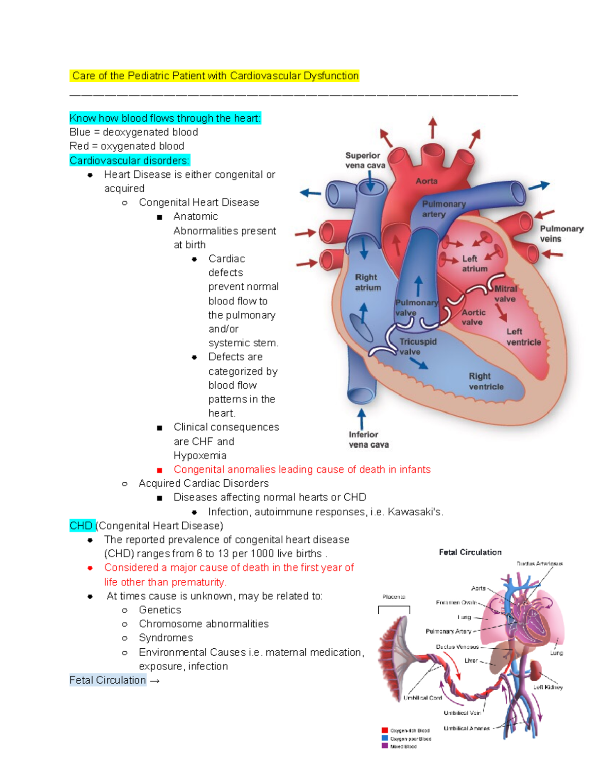 Peds lecture 6 - Cardiovascular - Care of the Pediatric Patient with ...