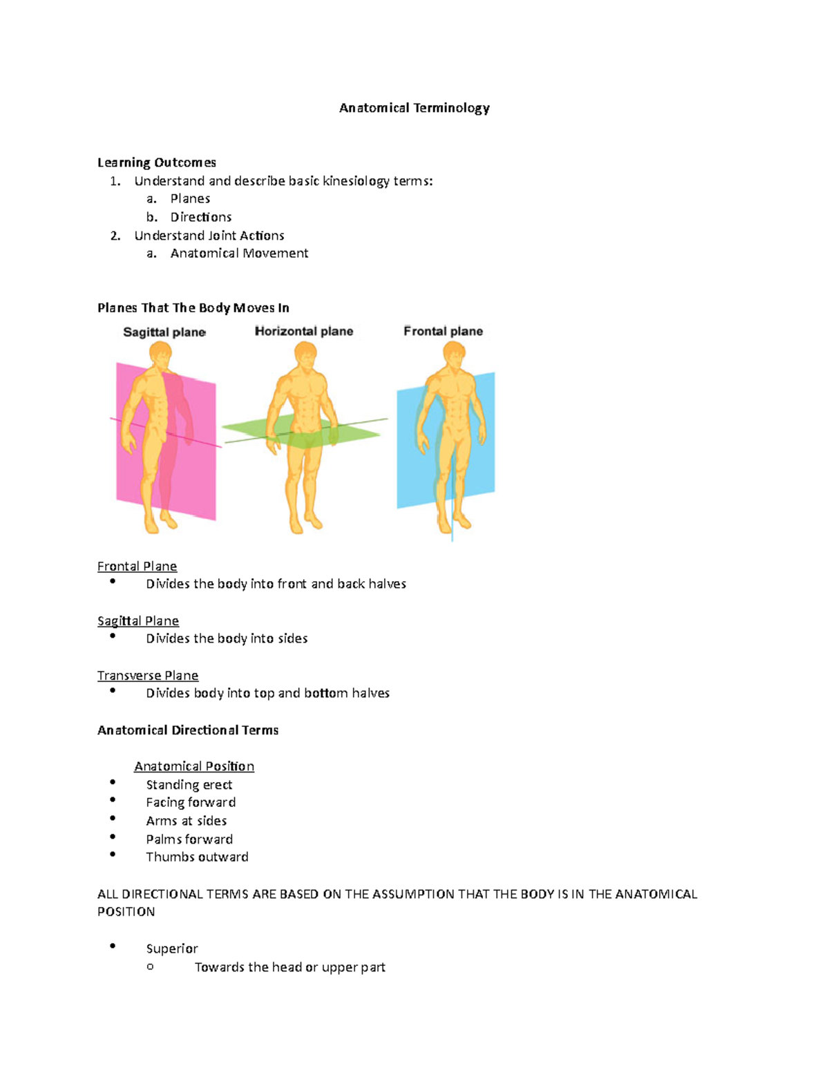 Anatomical Terminology Anatomical Terminology Learning Outcomes 1