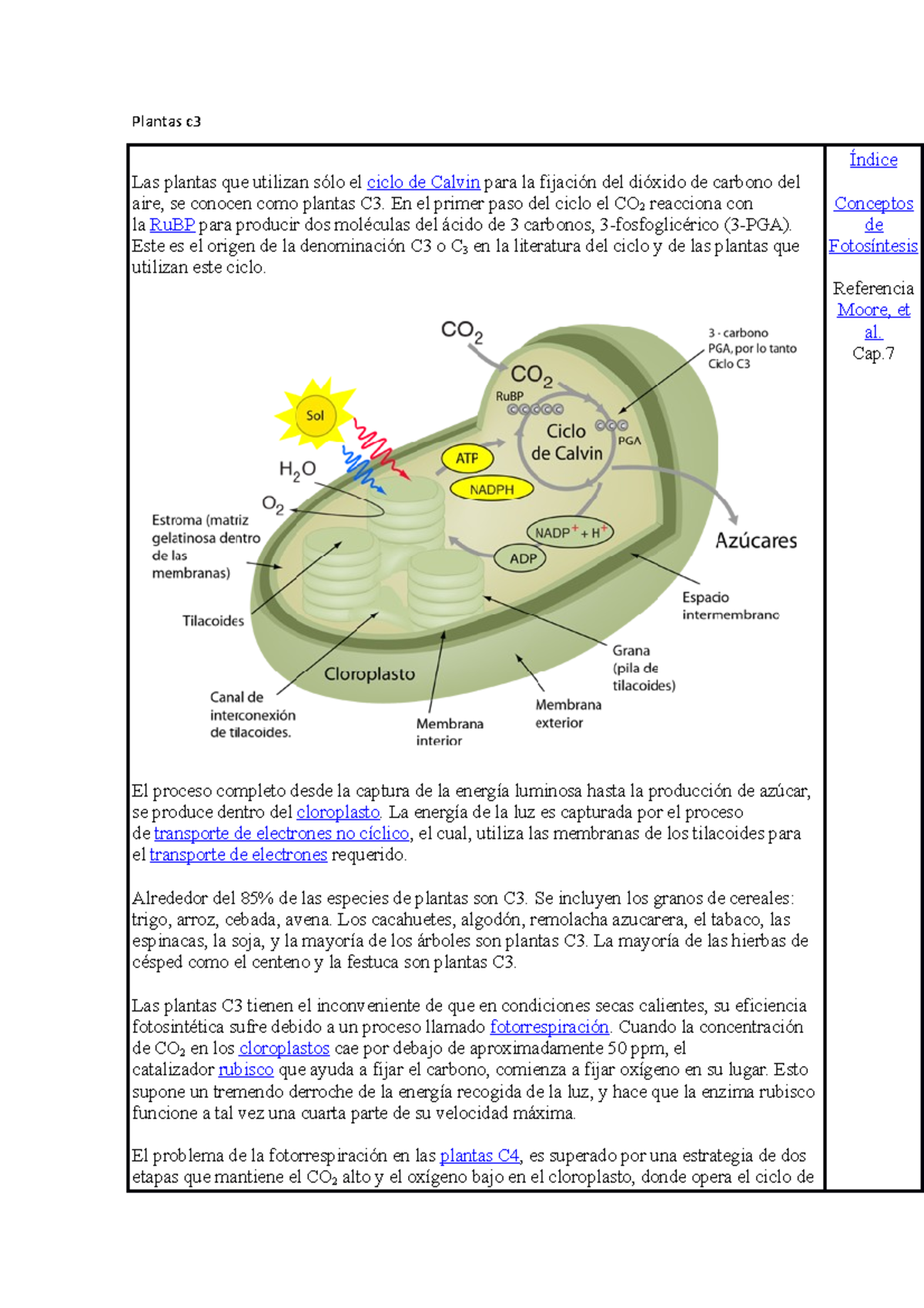 Plantas c3 - Apunts 1-5 - Plantas c Las plantas que utilizan sólo el ...