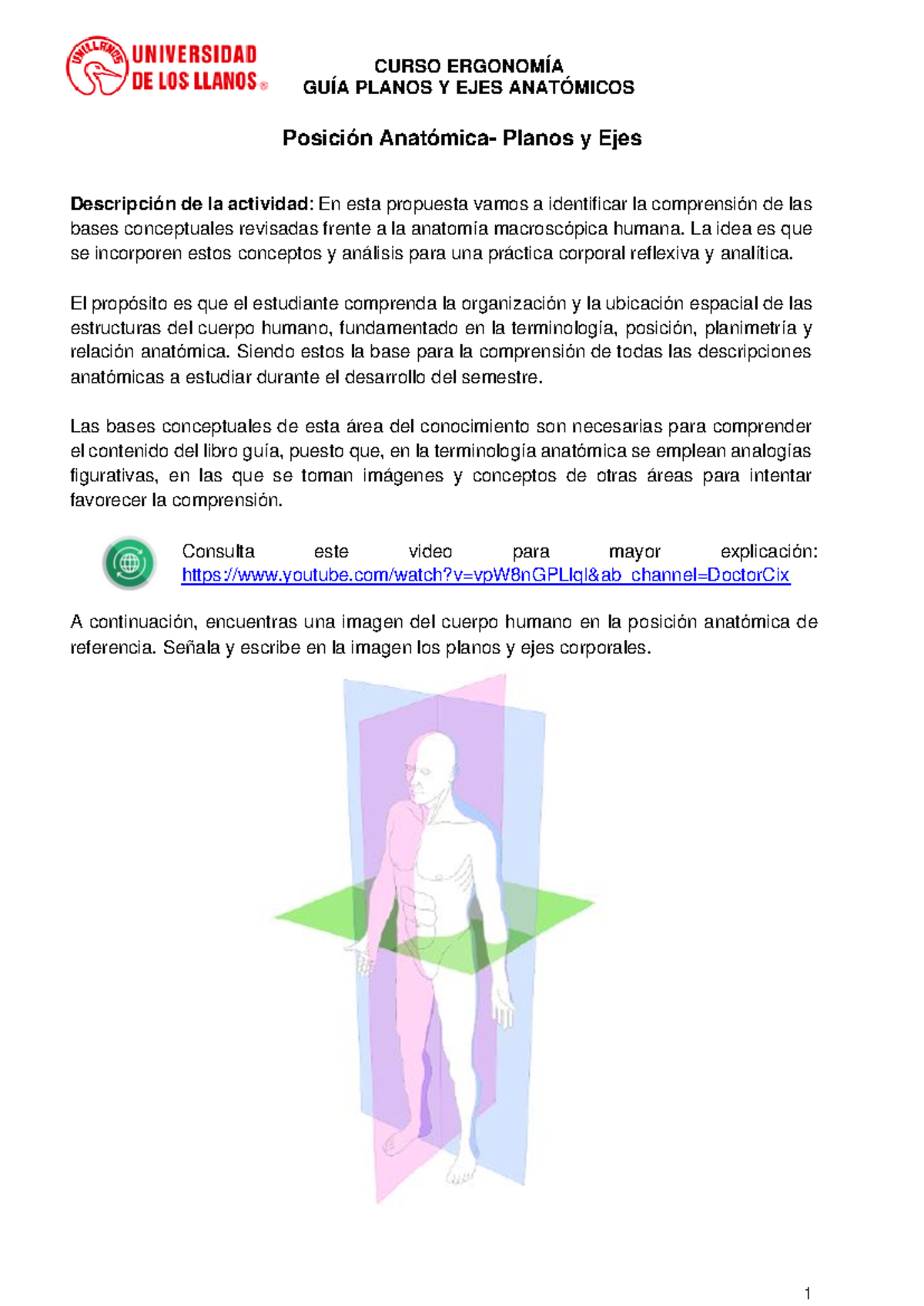 Guía taller planos y ejes anatómicos - 1 CURSO ERGONOMÍA GUÍA PLANOS Y EJES ANATÓMICOS Posición ...