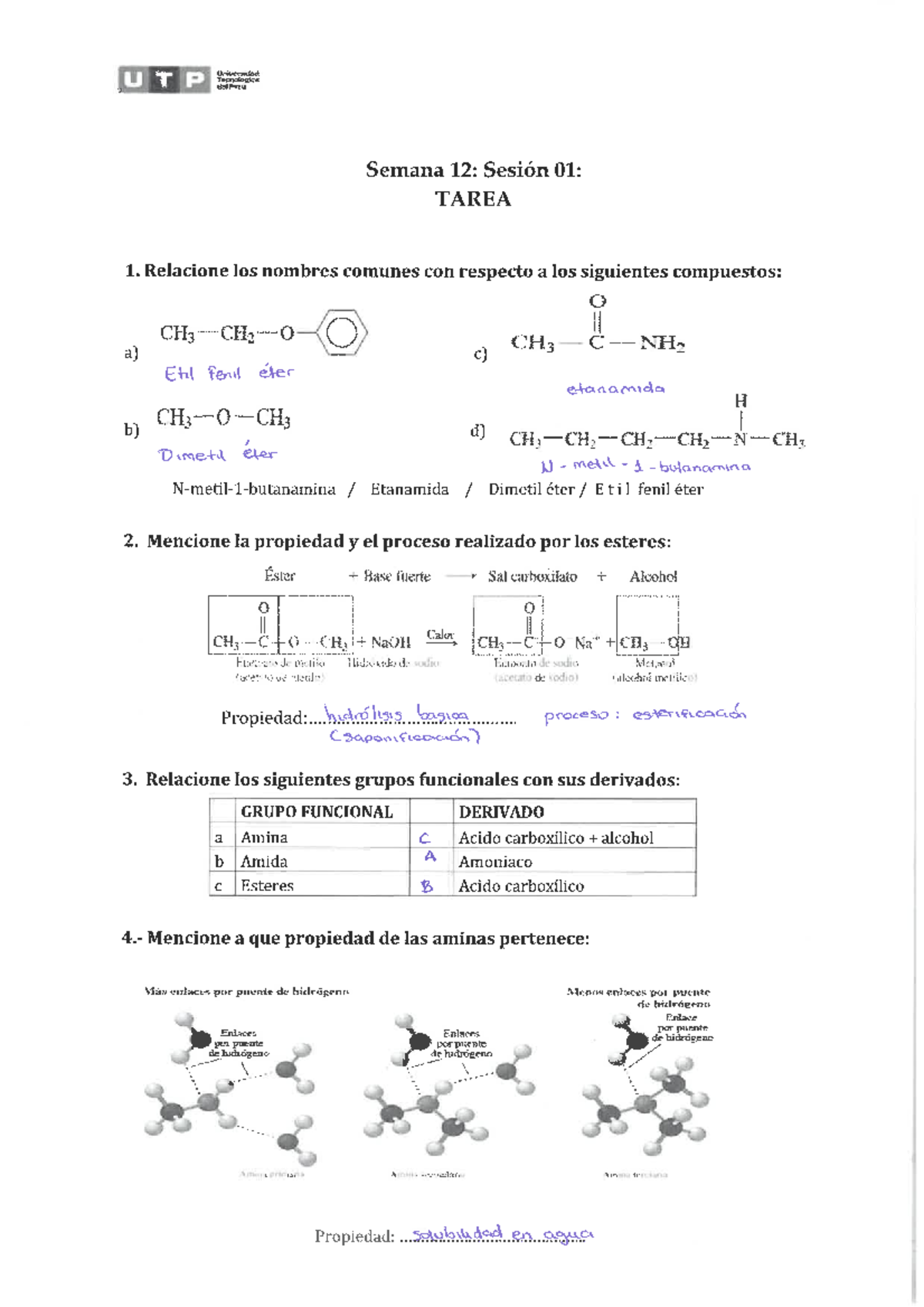 Actividad 12: SESION 01 - UTP Universidad Tecnological del Peru Semana ...