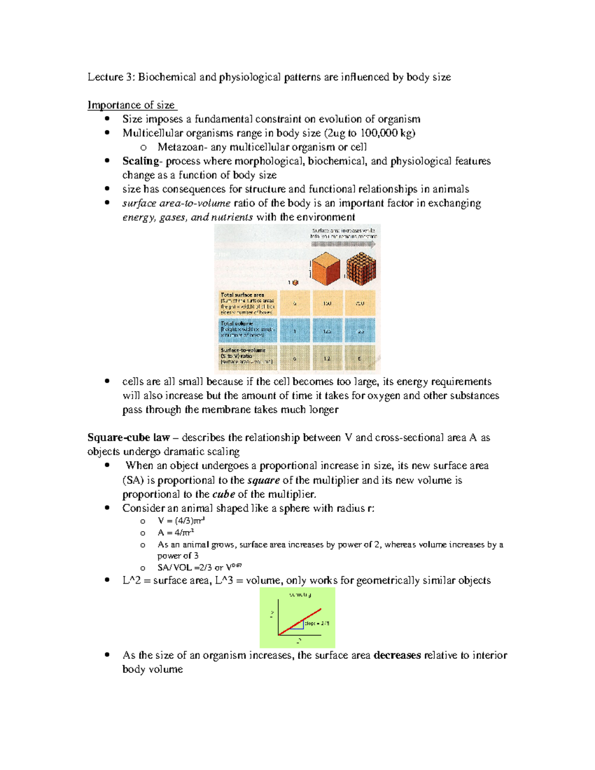 Lecture 3 Biochemical and physiological pattern influenced by size ...