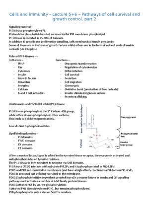 Cells & Immunity - Lecture notes Autumn 6, 7, 8 & 9 and Spring 8 - 06 ...