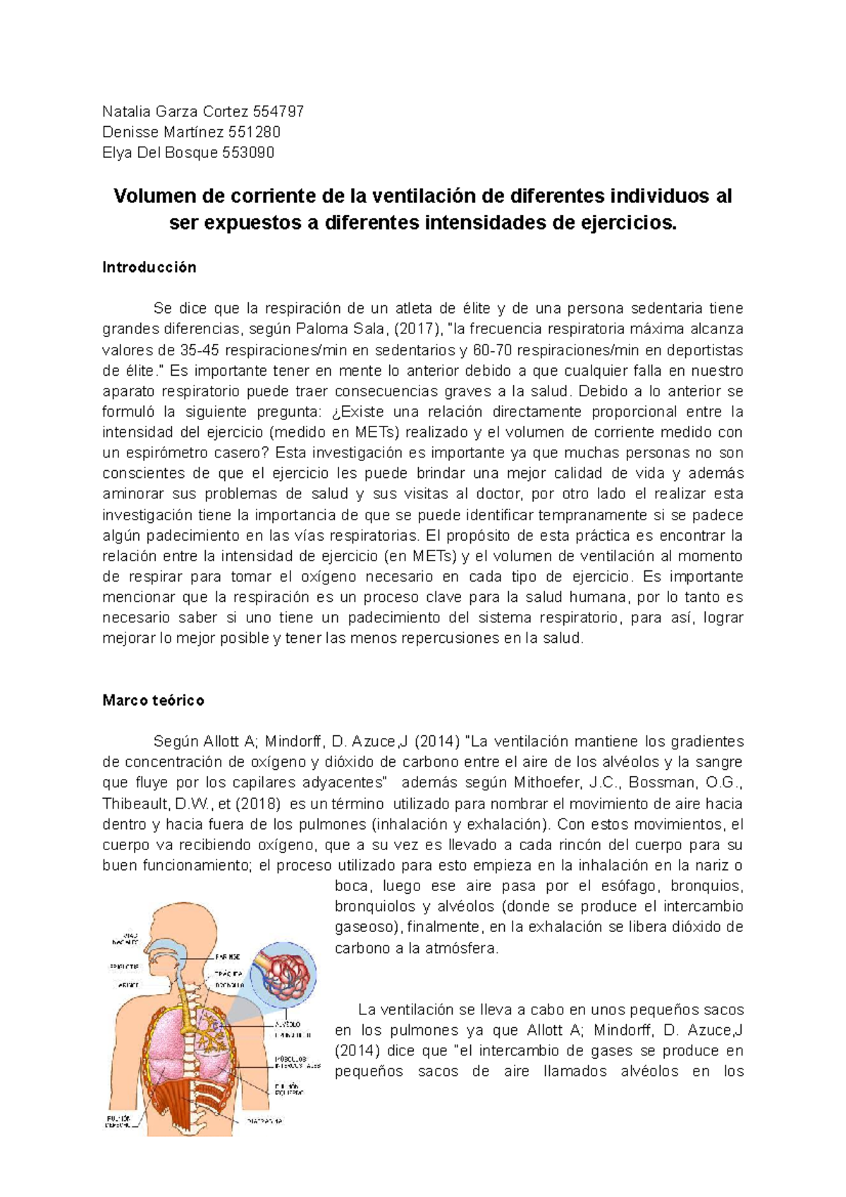 Volumen de corriente de la ventilación de diferentes individuos al ser ...