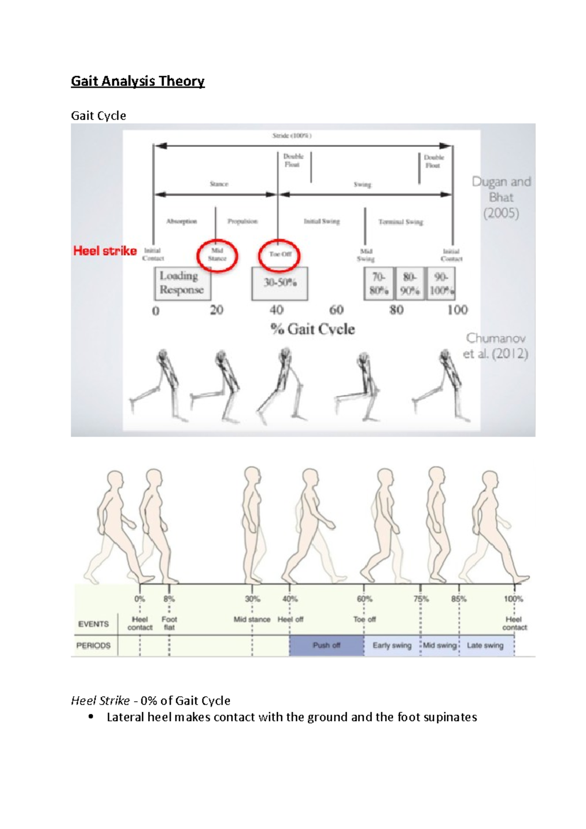 Gait Analysis Theory - Information on analysing gait to treat soft ...
