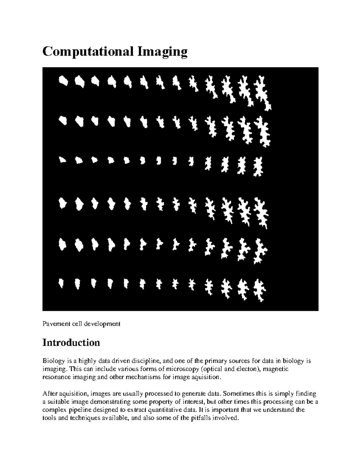 Computational Imaging - Computational Imaging Pavement cell development ...